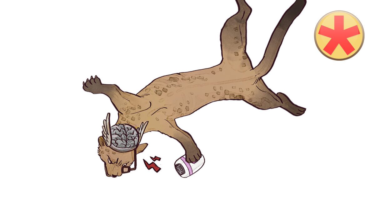 Hirnhäute, Epiduralhämatom & Subduralhämatom - lernen mit den ...