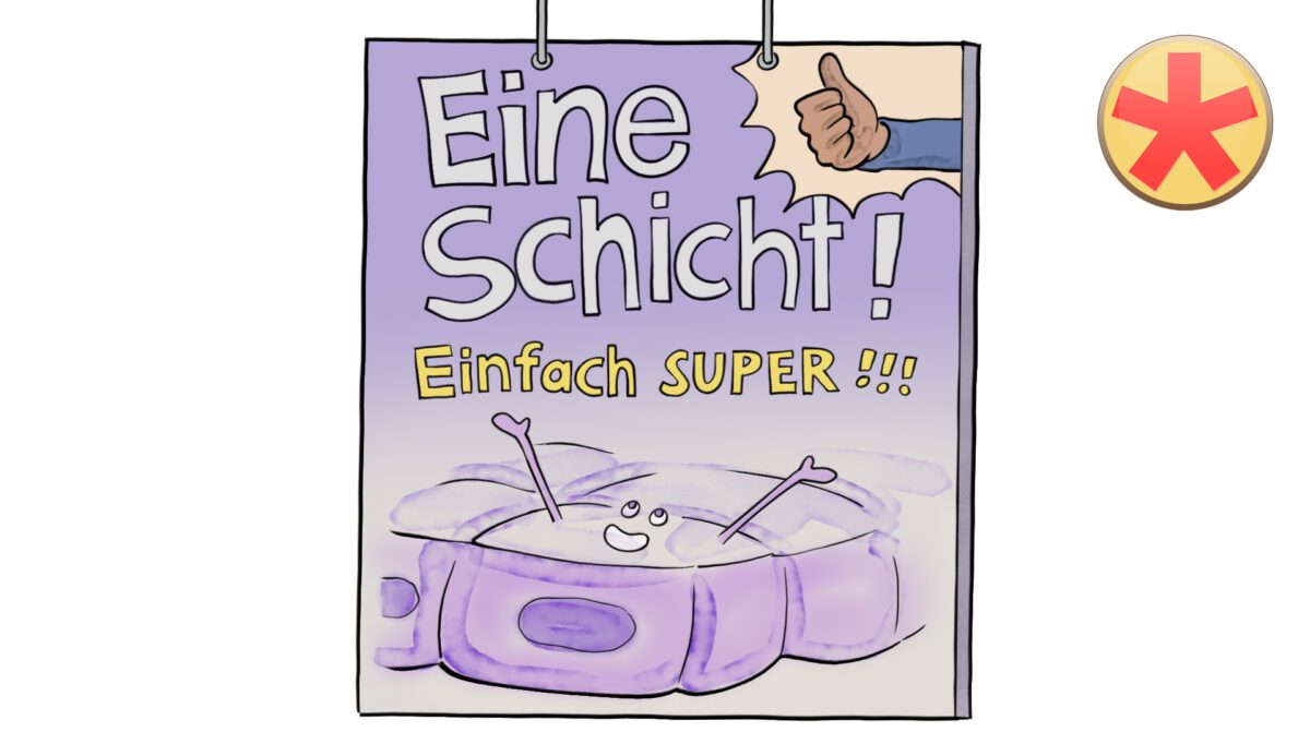 Oberflächenepithelien 1: Einschichtige Epithelien - lernen mit den ...
